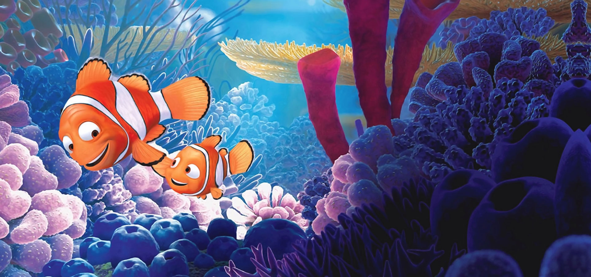 تماشا آنلاین و دانلود انیمیشن در جستجوی نمو | تلوبیون